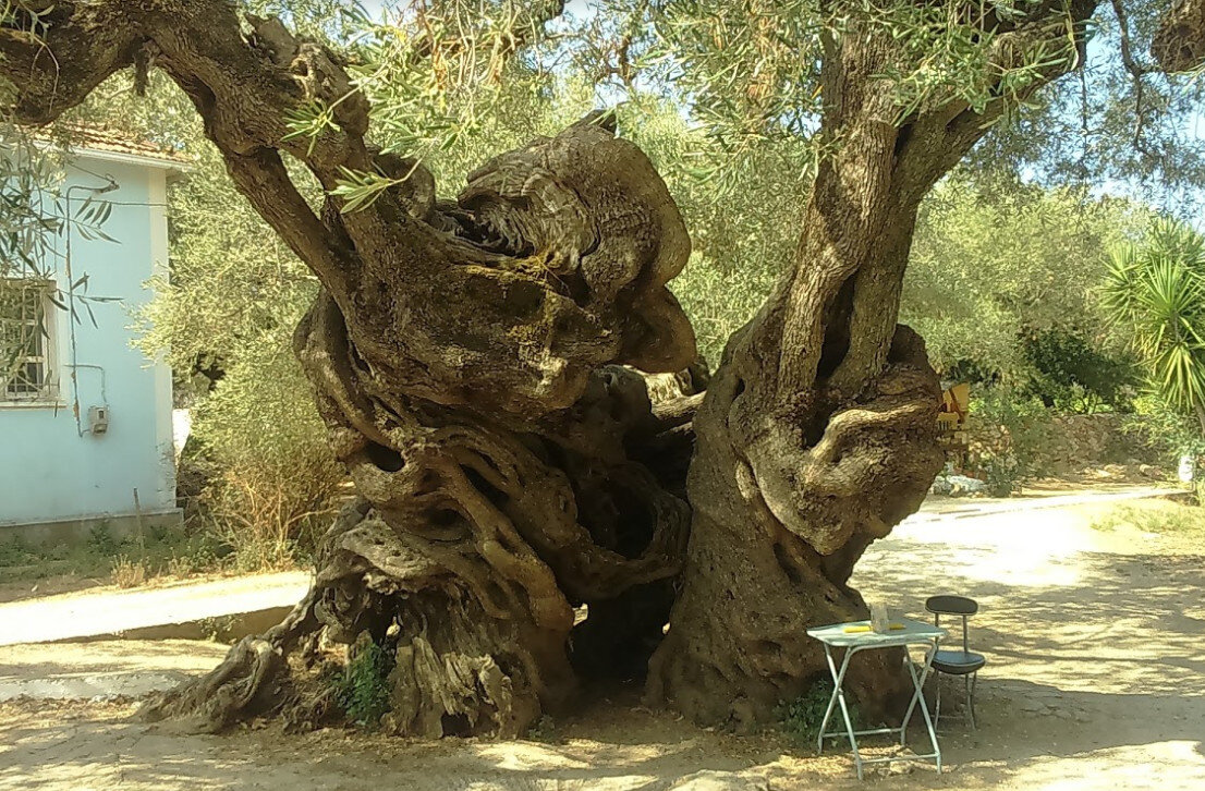 Exo Chora Village - Zakynthos